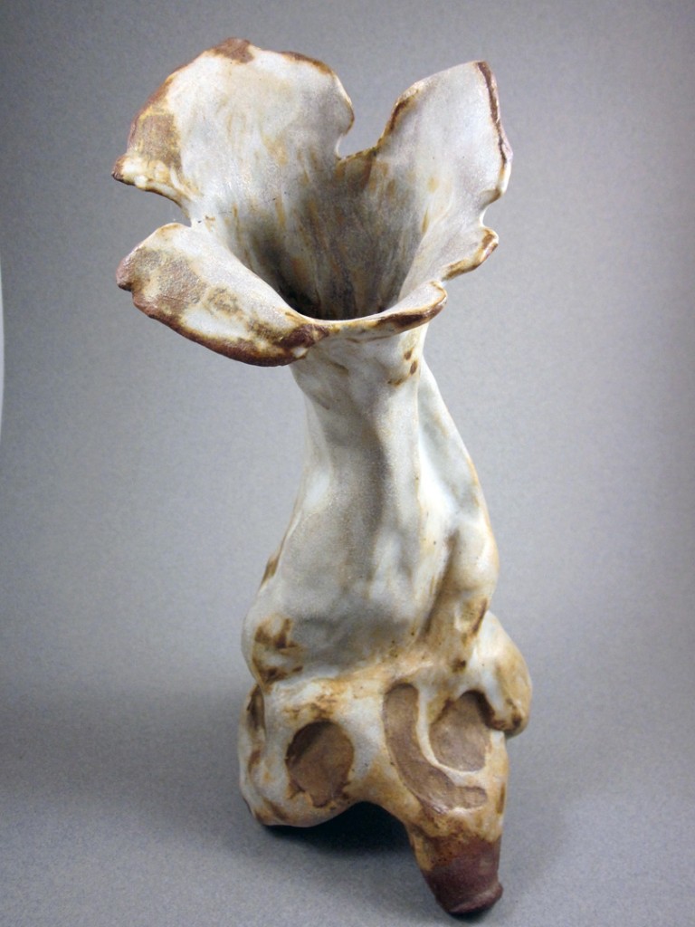 My Backlist, A Self-Retrospective Part I: Early Forms - Liz Crain Studio