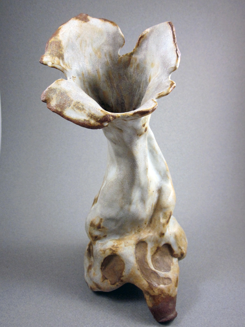 My Backlist, A Self-Retrospective Part I: Early Forms - Liz Crain Studio