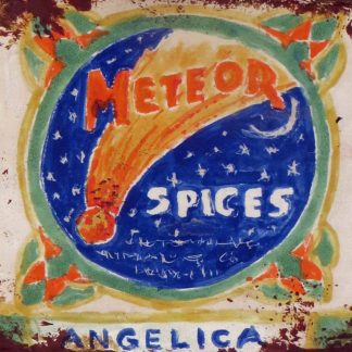 Meteor Angelica Spice Tin - Liz Crain Studio